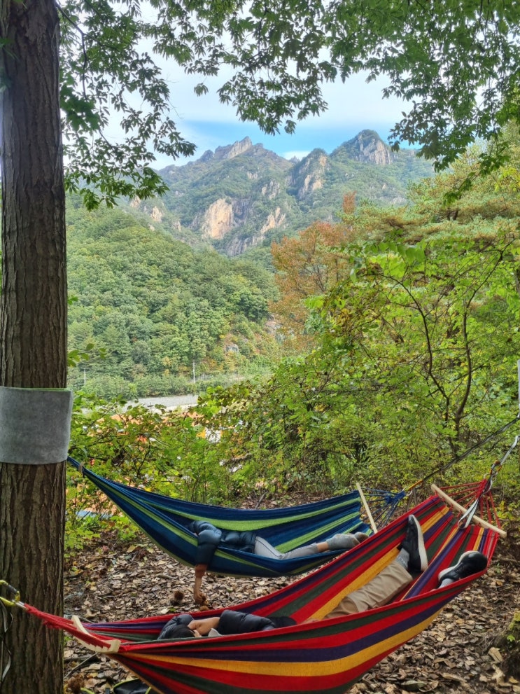 2210 인제여행 설악산생태탐방원 산양찾아 한계리 오전 프로그램 참여 설악산보며 해먹 휴식과 산양 보기 네이버 블로그