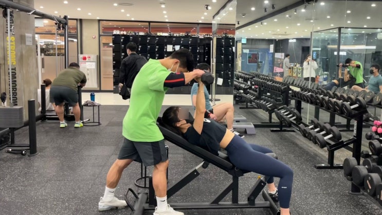 베스트피트니스 센텀점 헤드 트레이너의 인클라인 덤벨 프레스 티칭 네이버 블로그