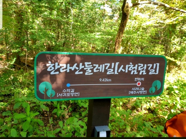 한라산 둘레길 6구간이 10월까지 임시로 열렸어요. 서둘러 다녀오셔야겠죠~~^^ : 네이버 블로그