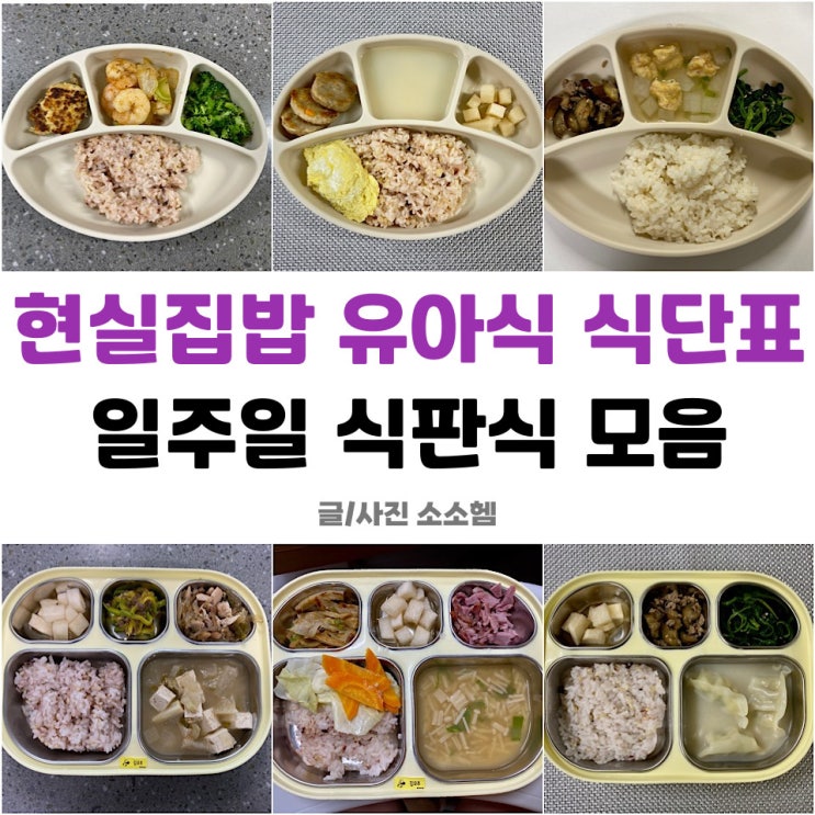 22개월 아기 유아식 일주일 식단표 아기 국 유아 반찬 네이버 블로그