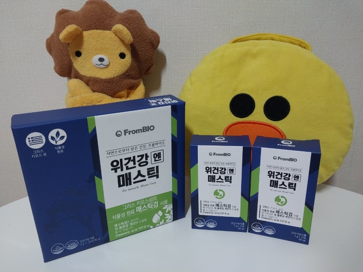 프롬바이오 위건강매스틱검 먹어본 후기 매스틱검 복용법 네이버 블로그