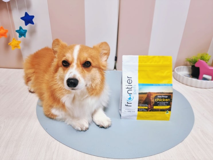 강아지사료 동결건조 프론티어 치킨 프리 레인지 사료 : 네이버 블로그