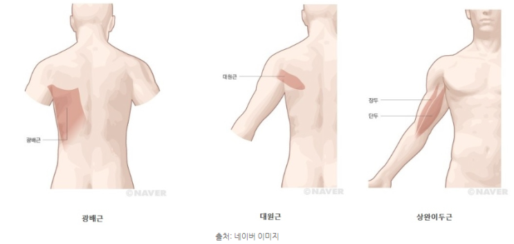 대구시달서구용산동성서24시헬스장루이스타휘트니스테일러짐 렛풀다운 네이버 블로그
