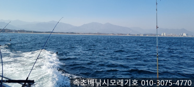 속초선상낚시 모래기호 가자미낚시 걱정없이 즐기세요 네이버 블로그