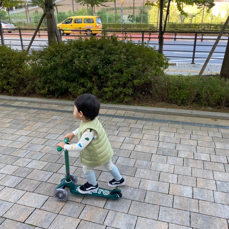 리뷰 마이크로 킥보드 미니 핸드 디럭스 Led 에코 네이버 블로그