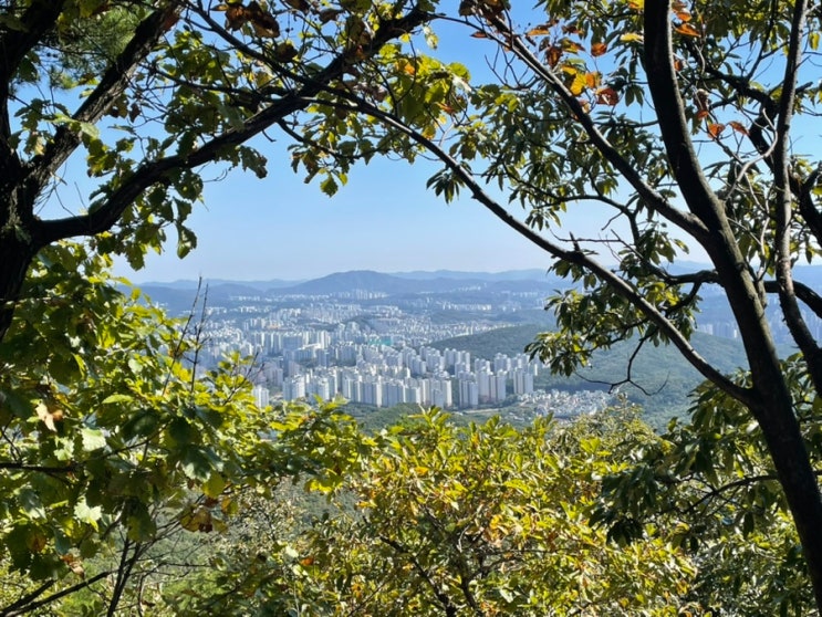 수원광교산 등산코스 공영주차장 3시간까지 2000원반딧불이화장실~형제봉코스 네이버 블로그