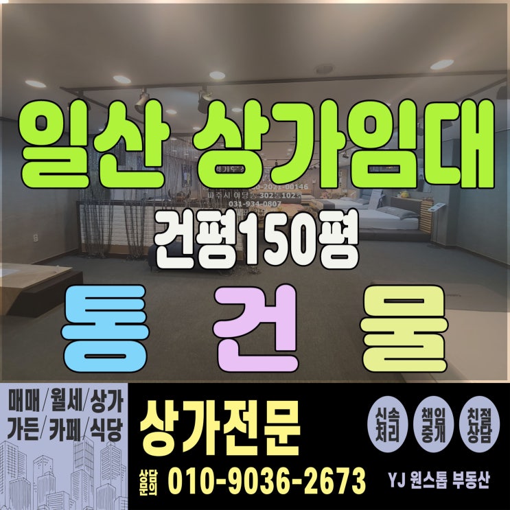 고양시 일산 상가임대 통건물 가구점 전시장 애견카페 상가전문부동산 네이버 블로그