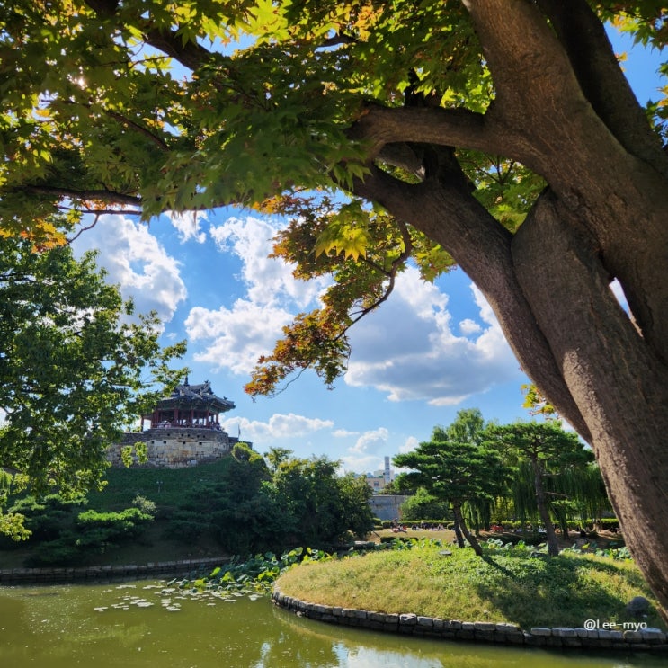 수원 화성 행궁 볼거리 가득한 성곽길 둘레길과 방화수류정 : 네이버 블로그