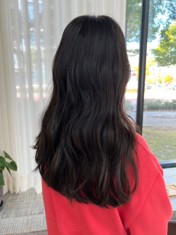 전주매스티지 ㅡ 예쁜머리 윤기있는머리 잘하는 전주미용실 전북 우정본부 맞은편에 있는 미용실 네이버 블로그