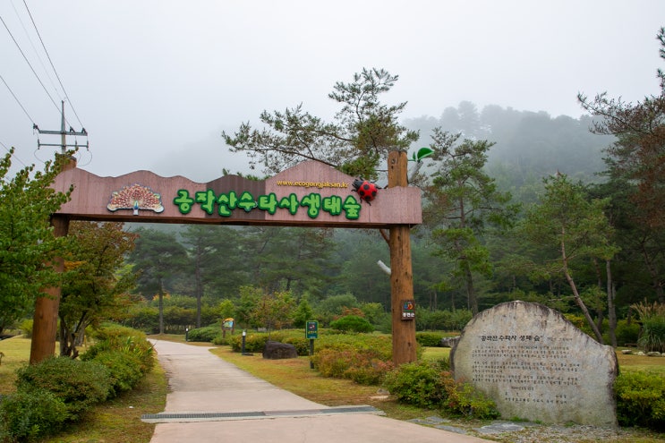 홍천 여행 코스 수타사 공작산 생태숲 걷고 홍천으뜸맛집 생곡 막국수 네이버 블로그
