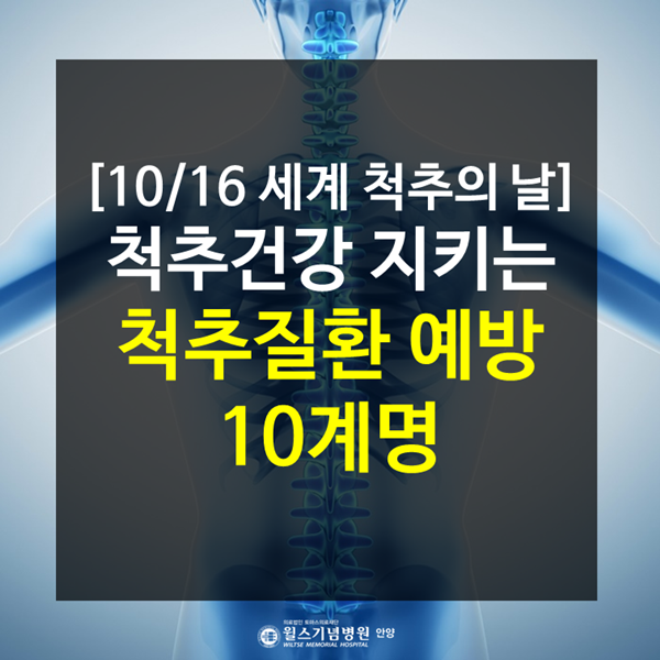 10월 16일 세계 척추의 날 척추질환 예방 10계명│안양윌스기념병원 네이버 블로그
