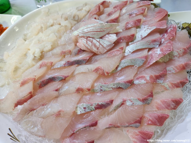 속초 맛집 장안횟집속초관광수산시장 횟집 추천 속초 횟집 속초중앙시장 횟집 추천 네이버 블로그
