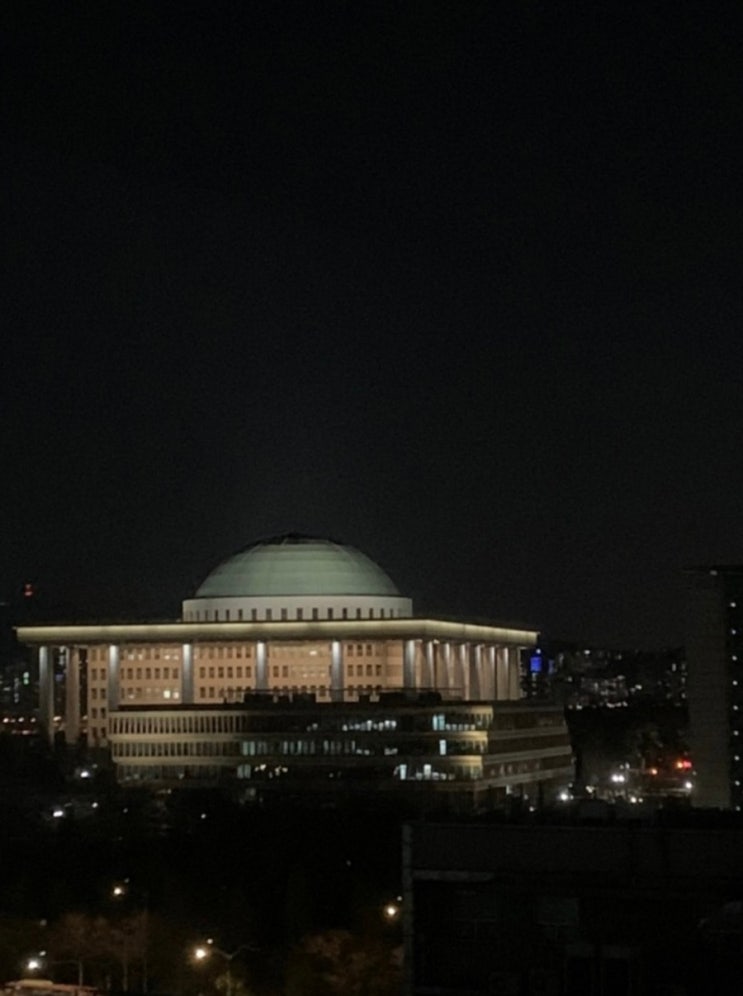 금턴이라 불리는 국회인턴 지원방법 및 하는 일(얻는 것들) _국회인턴일지 1. : 네이버 블로그