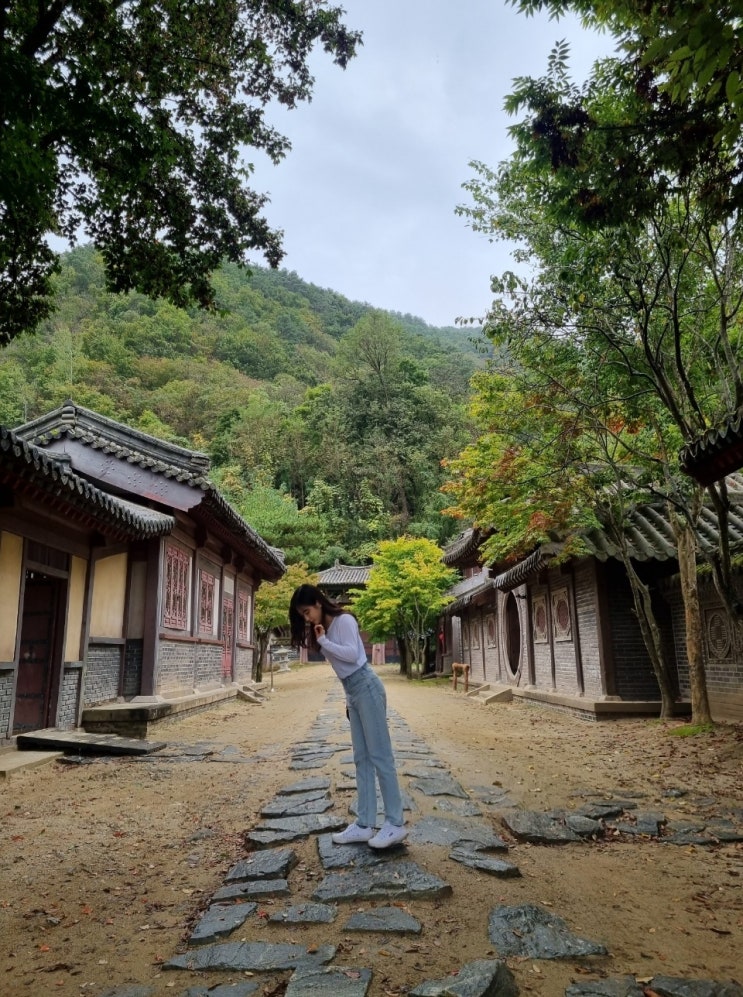 단양 여행 충북 여행 단양 당일치기로 아이와 혹은 연인과 가볼만한 곳 단양 온달 관광지 구인사 단양팔경 단풍여행을