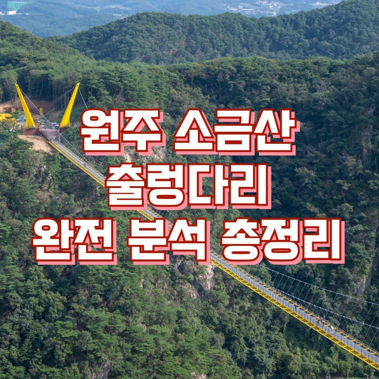 원주 소금산 출렁다리 입장료 주차장 등산코스 소요시간 길이 입장시간 애견동반 에스컬레이터 총정리 그랜드밸리 네이버 블로그