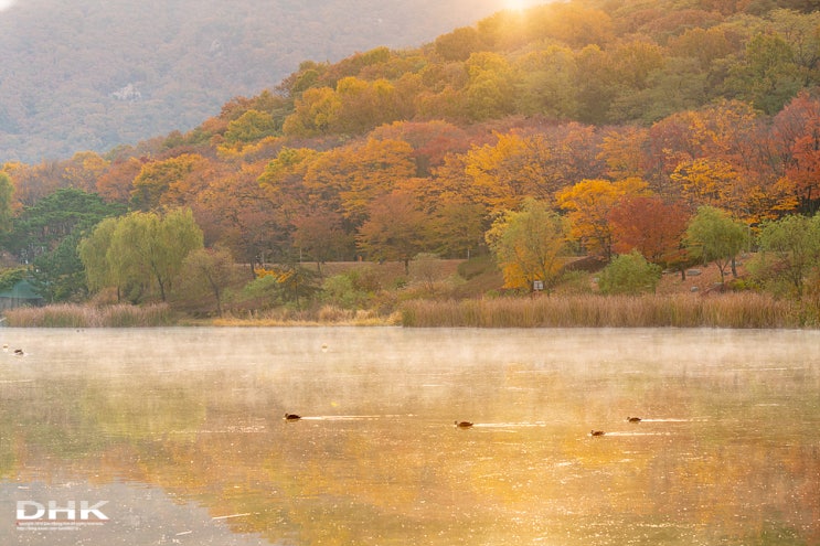 수도권 단풍 명소 2곳 - 인천 인천대공원, 경기도 광주 곤지암 화담숲 가을 가볼만한곳 단풍 절정 시기는? : 네이버 블로그
