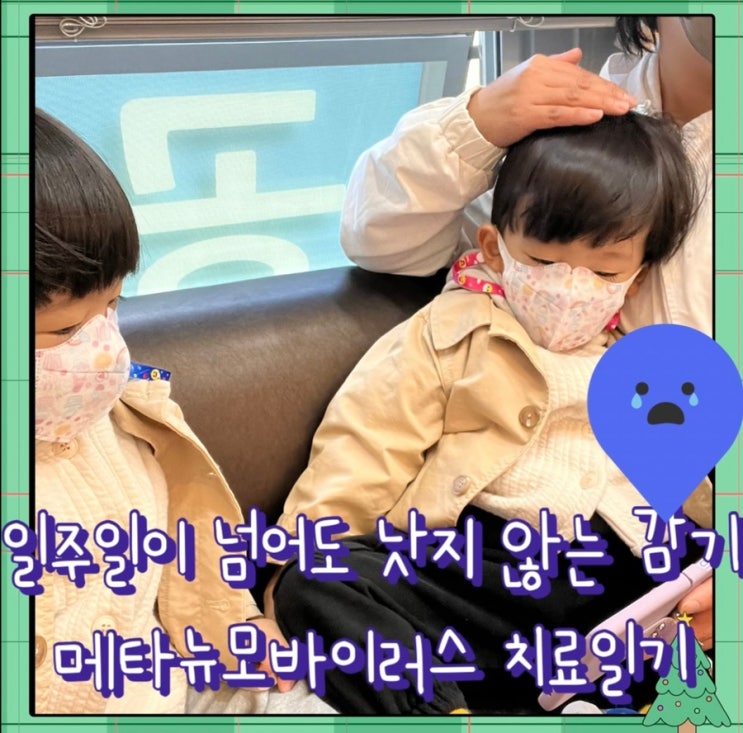 일주일이 넘어도 낫지 않는 감기 이주째 미열 콧물 등 아기 부비동염 증상 결국 메타뉴모바이러스라고 ㅠㅠ 네이버 블로그
