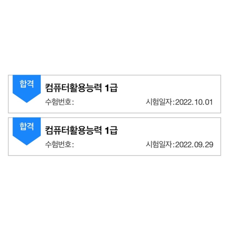 컴활 1급 실기 2주 고득점 합격 유동균 커미조아가현쌤 시나공 문제 복기 공부법 꿀팁 합격자 점수