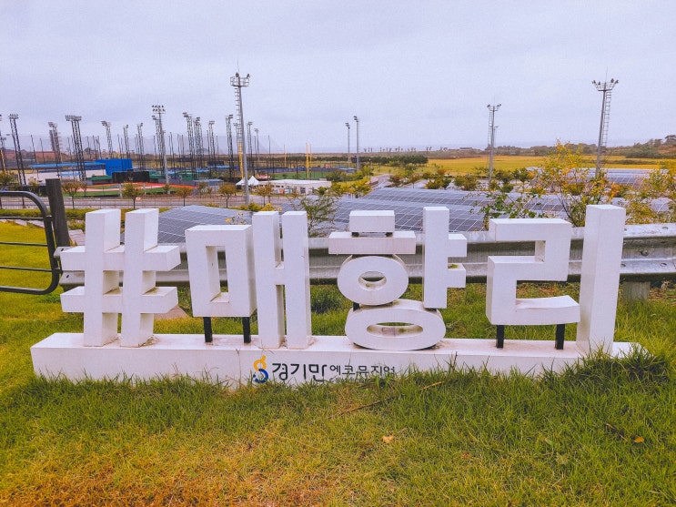 화성 가볼만한 곳 매향리 평화생태공원 궁평항 수산시장과 낙조길 제암리31운동 순국기념관 네이버 블로그
