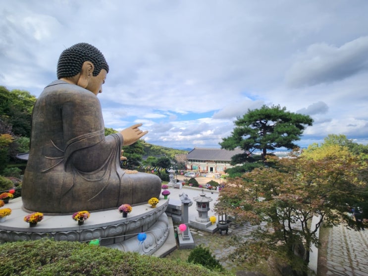 파주 약천사 심학산 둘레길 주변에 있어서 산책하기 좋은 대형 불상이 인상적인 조용한 사찰 네이버 블로그
