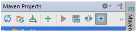 IntelliJ에서 Maven build/install 시 JUNIT test를 skip하는 방법 : 네이버 블로그