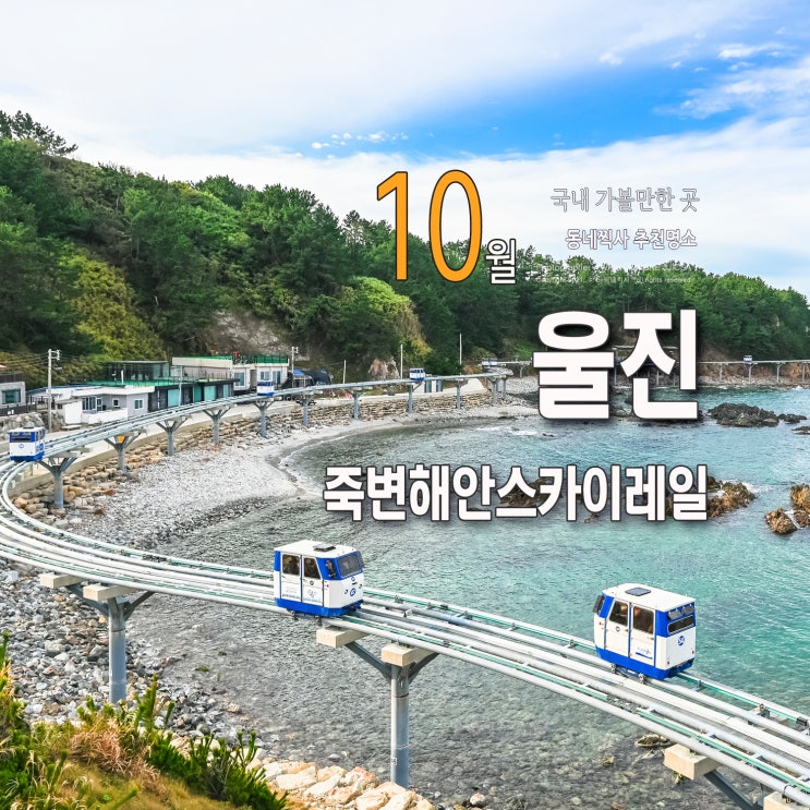 울진 가볼만한 곳 죽변 해안 스카이레일 And 폭풍 속으로 드라마 촬영지 그리고 죽변항 근처 맛집 진해 식당 네이버 블로그