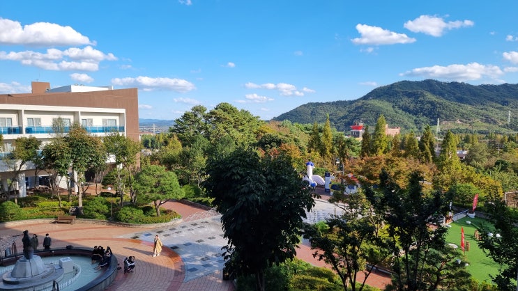 충남 덕산 리조트 추천 덕산 스플라스 리솜 체크인 스테이타워 S25콘도객실 온천워터파크 셀프비비큐bbq 등 내돈내산