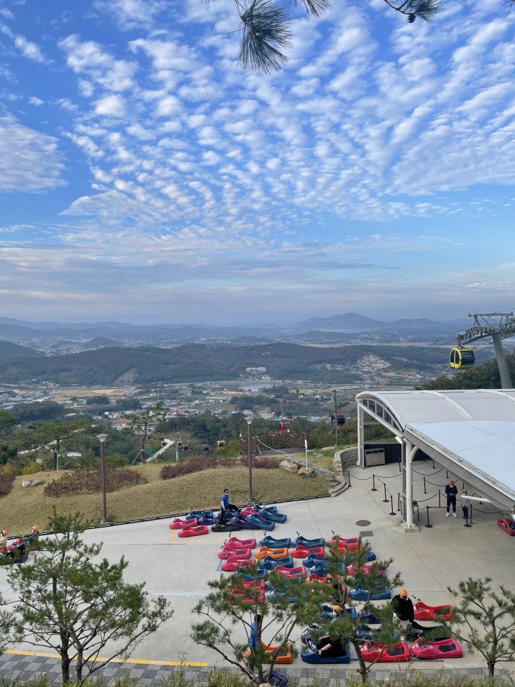 대꿀잼 강화 루지 강화씨사이드리조트 후기 강화도 당일치기 코스 추천 서울 근교 가볼만 한 곳 네이버 블로그