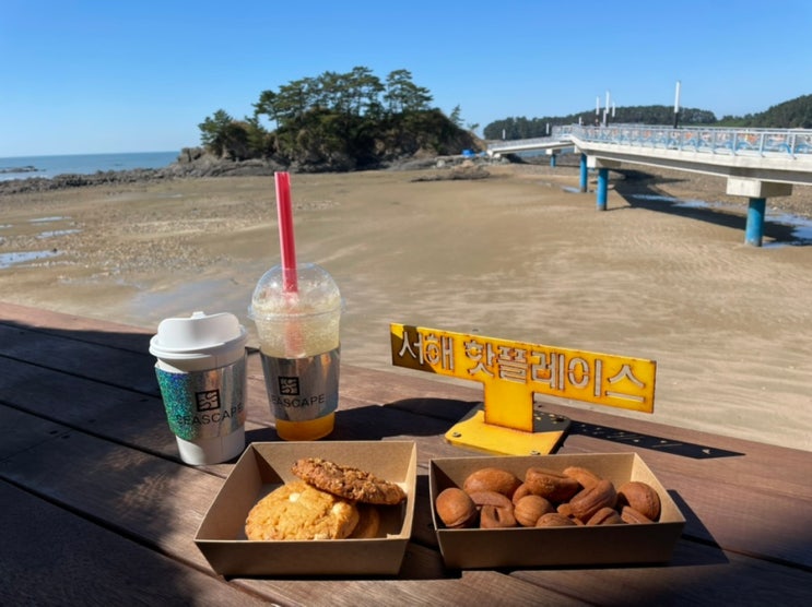 충남 보령무창포카페 대천카페 시스케이프 네이버 블로그