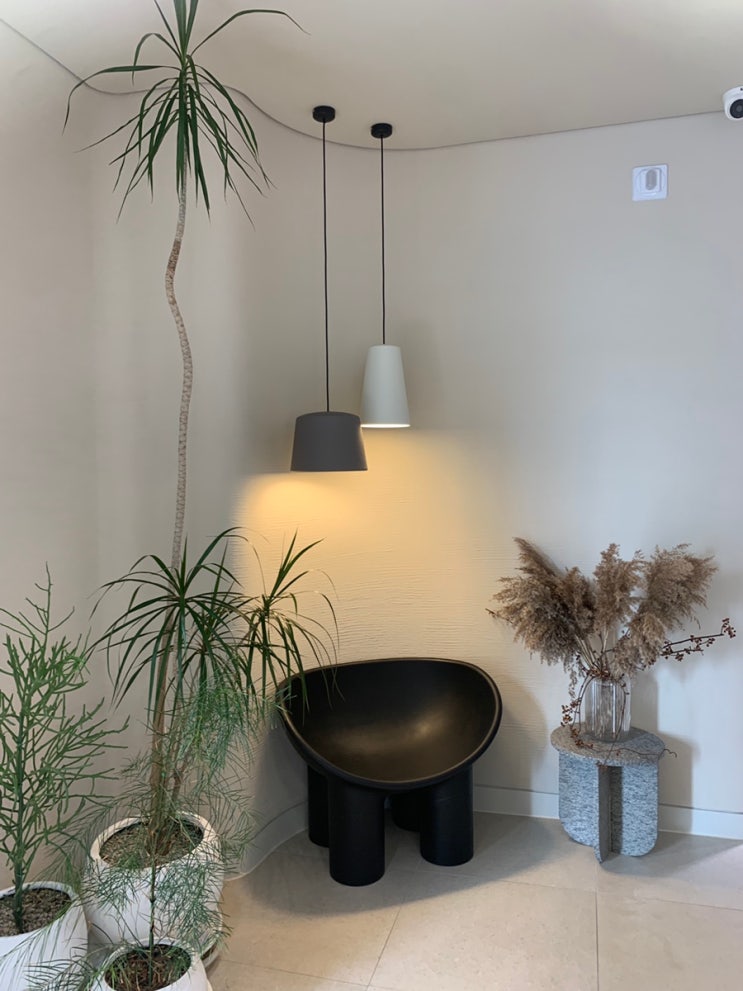 청담동 피부과 민트실리프팅 후 LDM재생관리 및 리프팅 관리 : 네이버 블로그