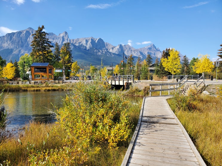 하이킹 코스 - 캔모어 폴리스맨 크릭 & 캔모어 후두스 Canmore Policeman Creek Boardwalk Trail ...