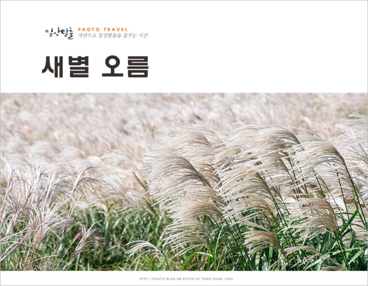 제주도 오름 추천 제주 새별오름 제주도 억새 제주 오름 추천 네이버 블로그