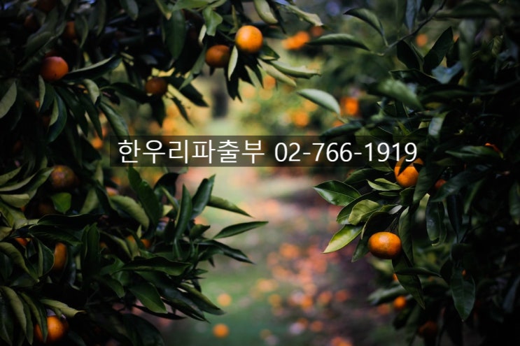 식당파출 홀서빙 매니저님 등 뒤에도 눈이 있나봐요 종로 · 동대문 한우리 식당 파출부 네이버 블로그