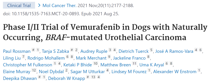 [약물] Vemurafenib (Zelboraf, Roche). 흑색종 말기 치료제. : 네이버 블로그