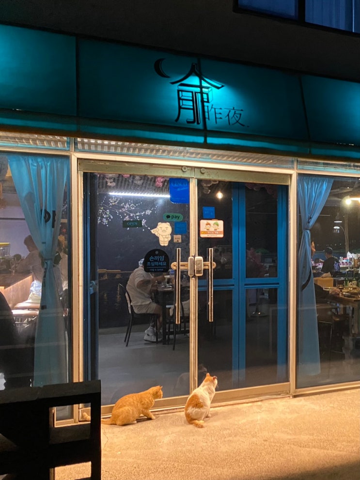 제주 한림읍 월령작야🌙 고등어회랑 귀여운 냥이들 네이버 블로그