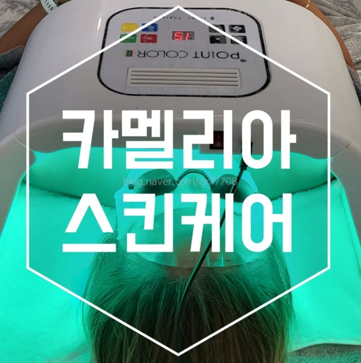 제주 에스테틱 11 프라이빗한 제주 피부관리실 카멜리아 스킨케어 네이버 블로그