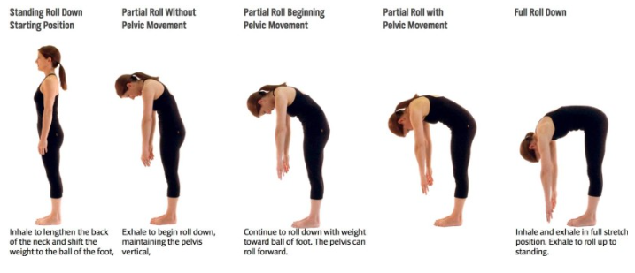 [보니따필라테스 분당이매점/이매동 필라테스] 필라테스 스트레칭 소개 - 스탠딩 롤다운 (Standing Roll down) : 네이버 블로그