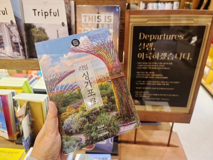 싱가포르 자유여행 입국 서류 해외여행 준비물 항공권예약영문백신접종증명서해외여행자보험가입sg코드유심 네이버 블로그