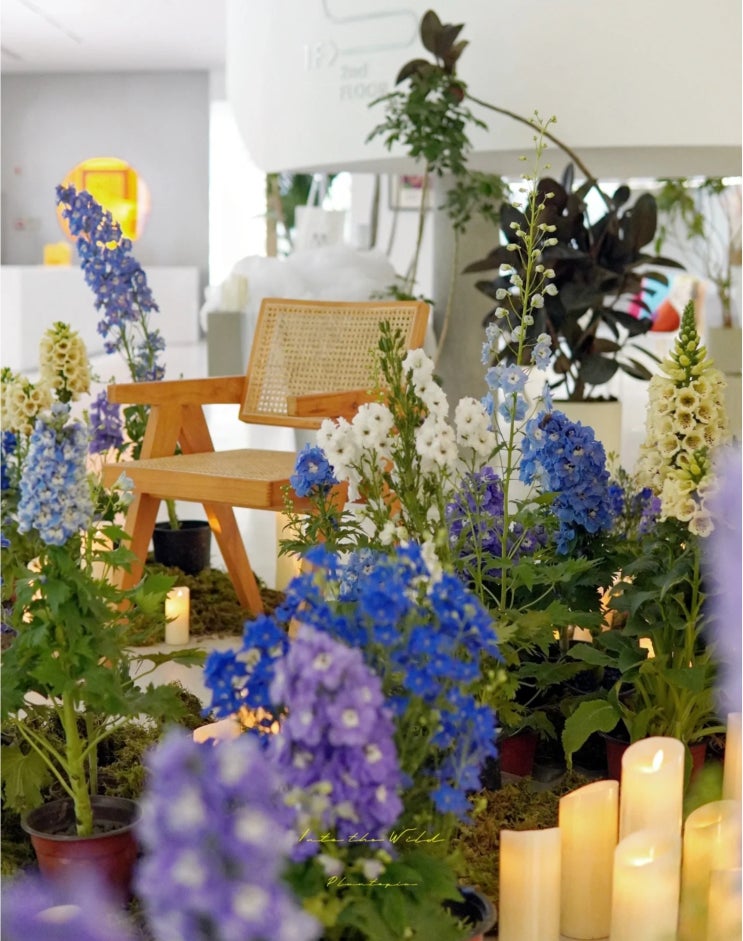 행사장 사무실 조화조경 전문업체 : 네이버 블로그