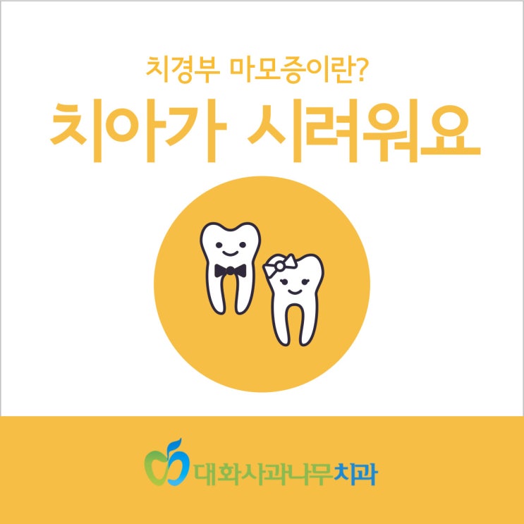 대화동 치과 치아 뿌리가 드러났어요 치아가 시려요 치경부 마모증이란 네이버 블로그