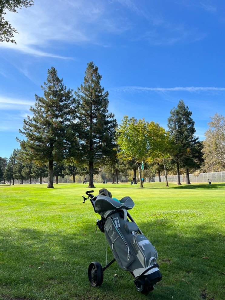 산호세 블랙베리 골프장 이용후기(Blackberry Farm Golf Course) : 네이버 블로그