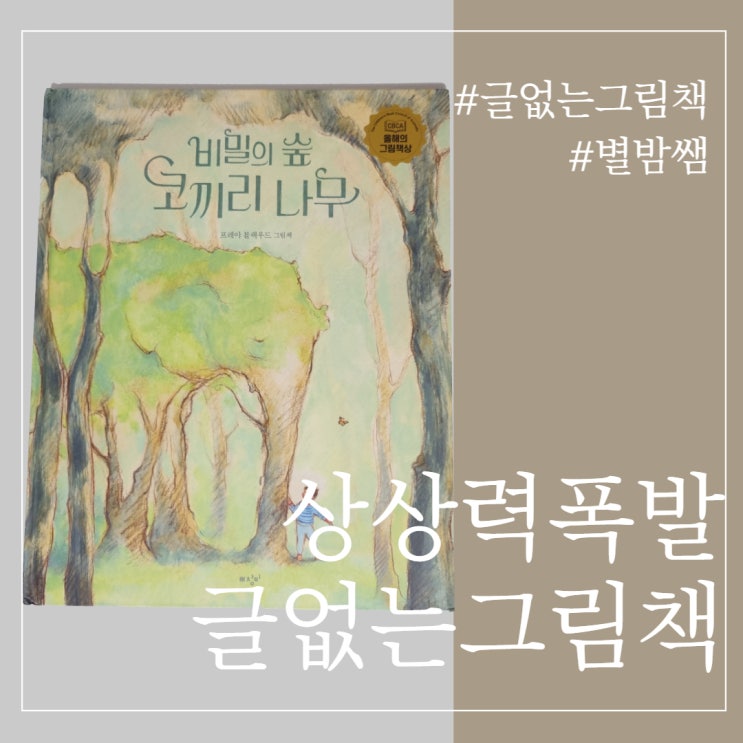 유아 책육아 글 없는 그림책 비밀의 숲 코끼리나무 네이버 블로그