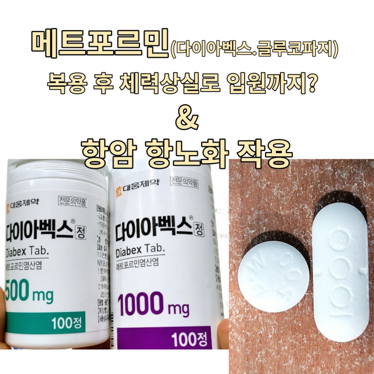 메트포르민다이아벡스 글루코파지 복용 후 체력상실로 입원까지 그런데 항암 항노화 작용이라니 네이버 블로그