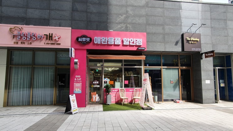 유성시애견할인매장 씨유펫 대전 도룡점 네이버 블로그