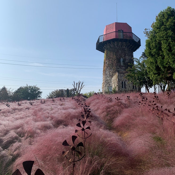 태안 이색 관광 여행 코스 추천 태안 시티투어 남부 코스팜카밀레 백사장항 안면도 수목원 꽃지해수욕장 안면암
