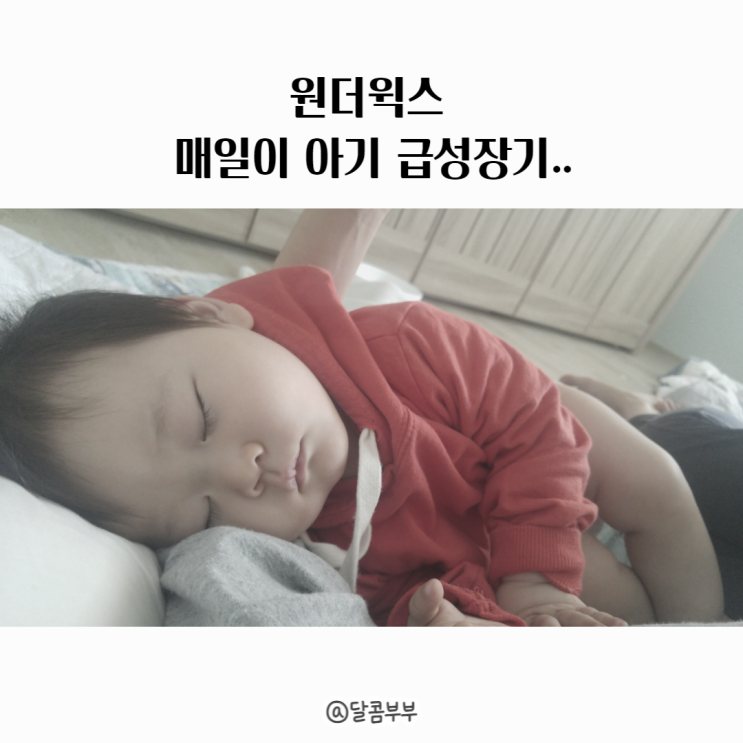 원더윅스 기간 증상 매일이 아기 급성장기 같다 네이버 블로그
