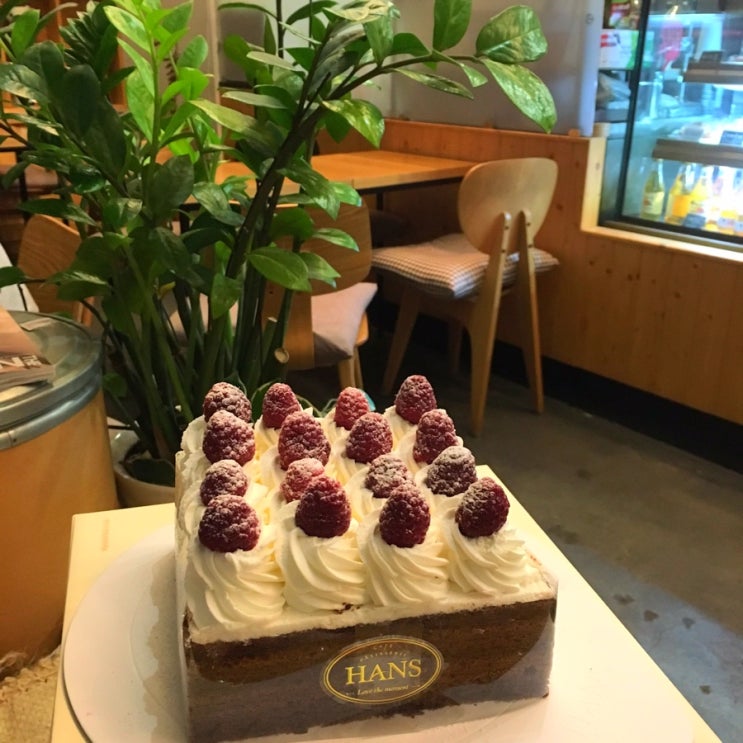 코엑스 빵집 Hans 한스 삼성역 케이크 맛집 사각 산딸기 가나슈 가격 맛 후기 네이버 블로그