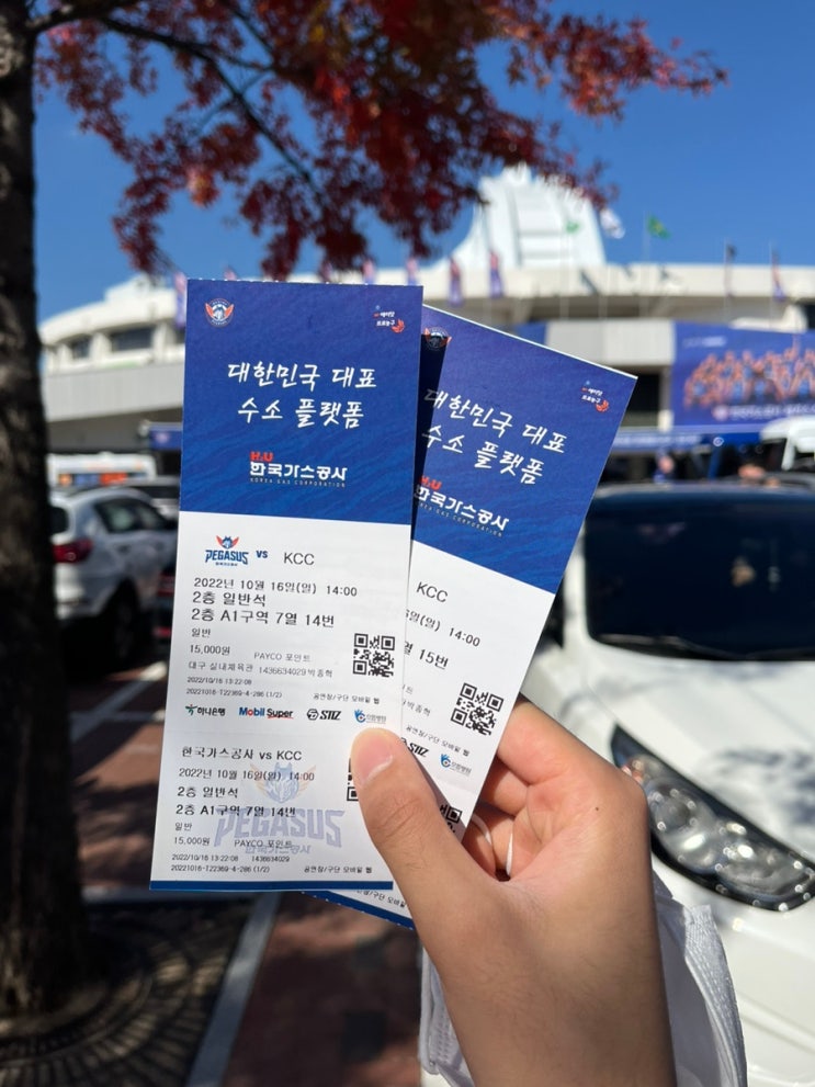 [직관일기] 2022-10-16 Daegu KOGAS Pegasus v Jeonju KCC Egis / Daegu FC v Gimcheon Sangmu : 네이버 블로그