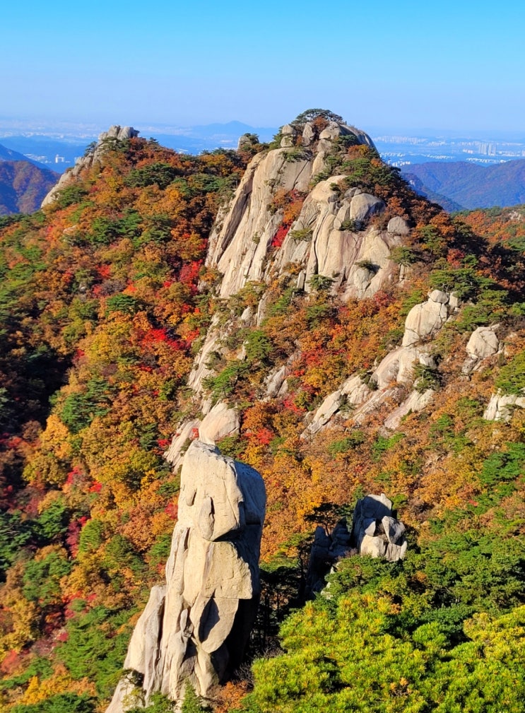 도봉산 등산코스 단풍놀이 신선대 자운봉 Y계곡 최단코스 주차정보 등등 네이버 블로그