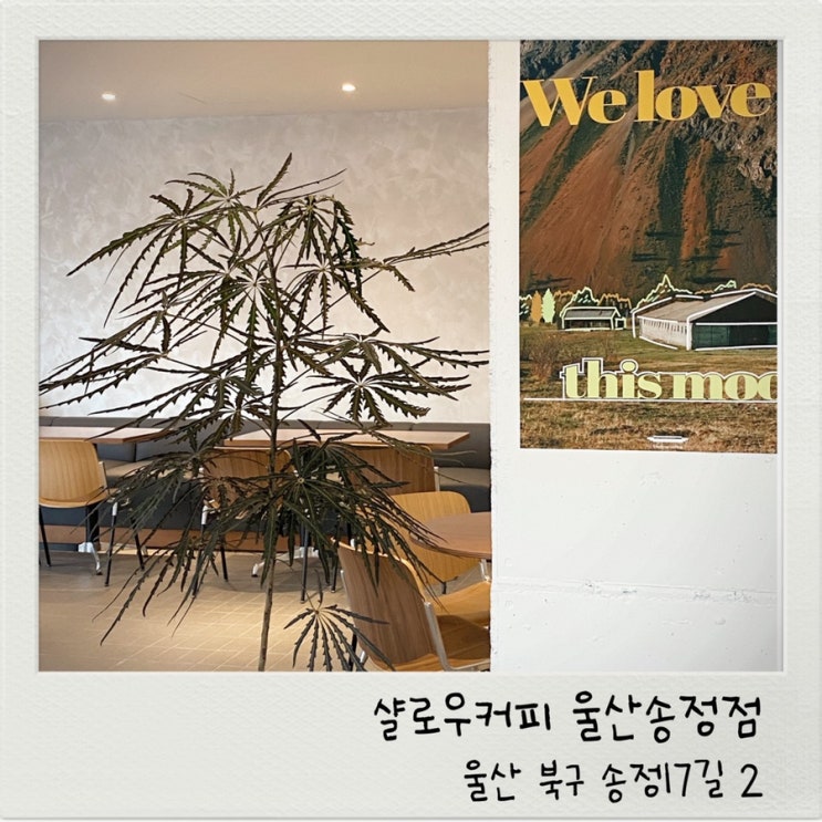 울산 북구 송정동 카페 샬로우커피 울산 송정점 shallow coffee : 네이버 블로그